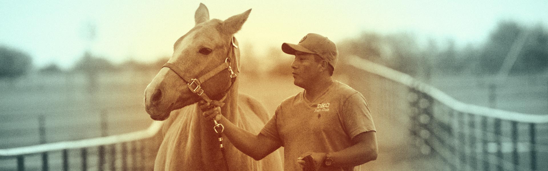 ManHoldingHorseInbetweenFences2-header600 - ASPCA® Right Horse