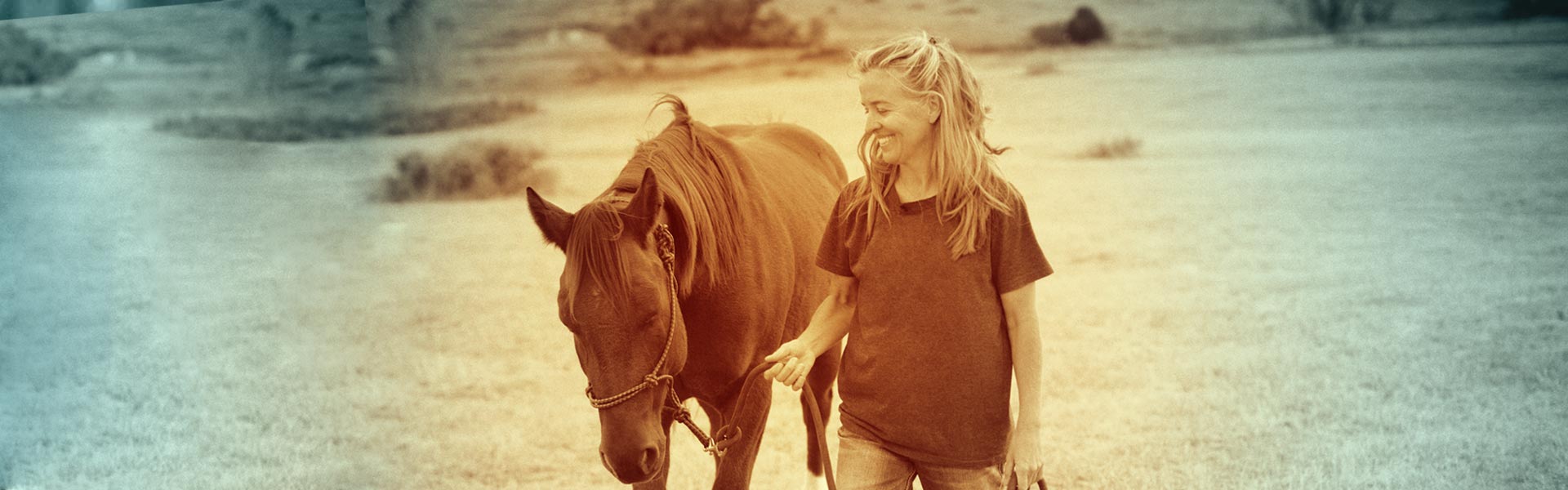 Pilot Programs - ASPCA® Right Horse