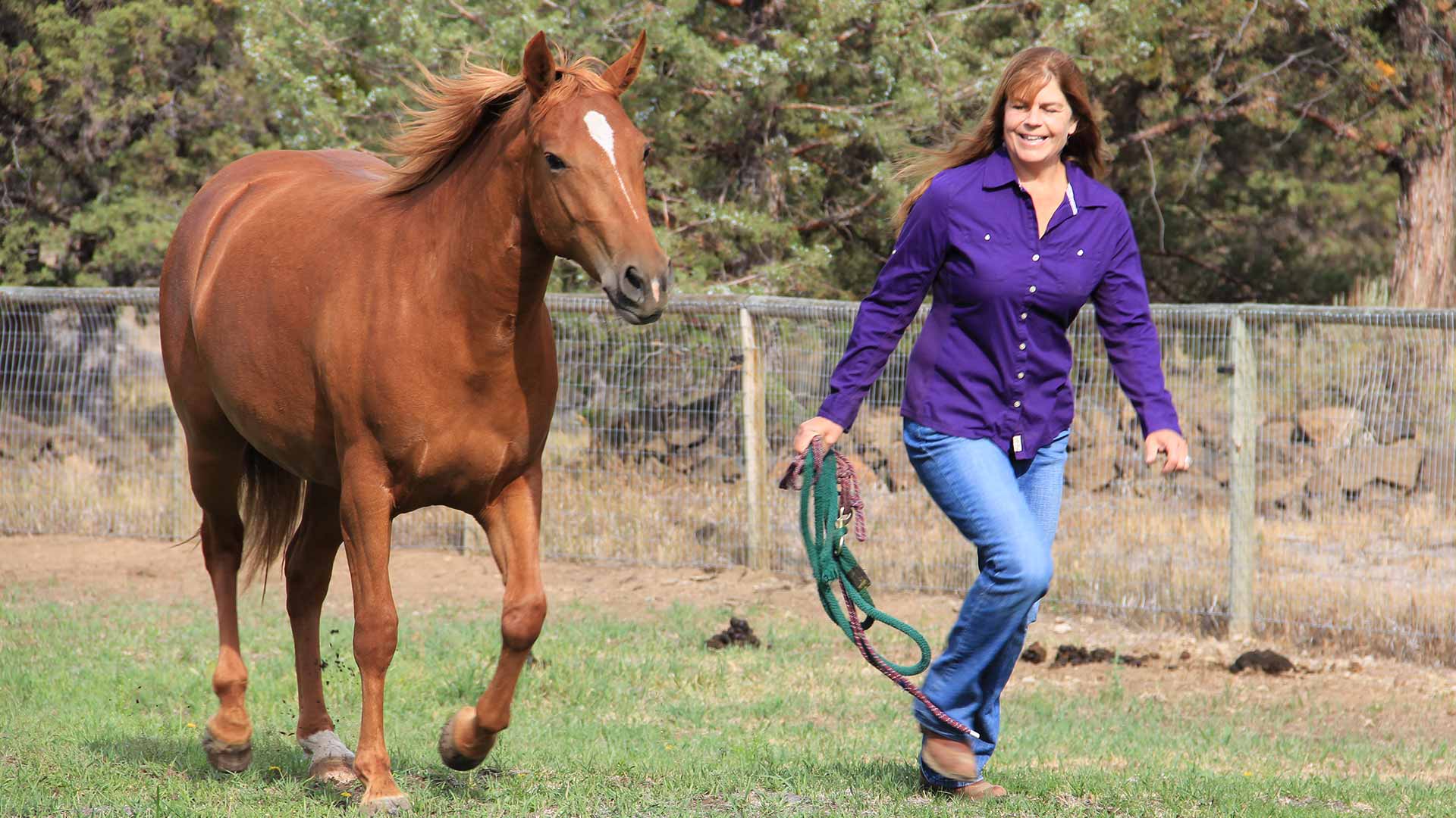 Shera + Story - ASPCA® Right Horse