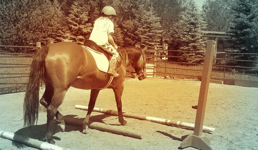 TheRightHorse-RidingInstructorsAsStakeholders-FB - ASPCA® Right Horse